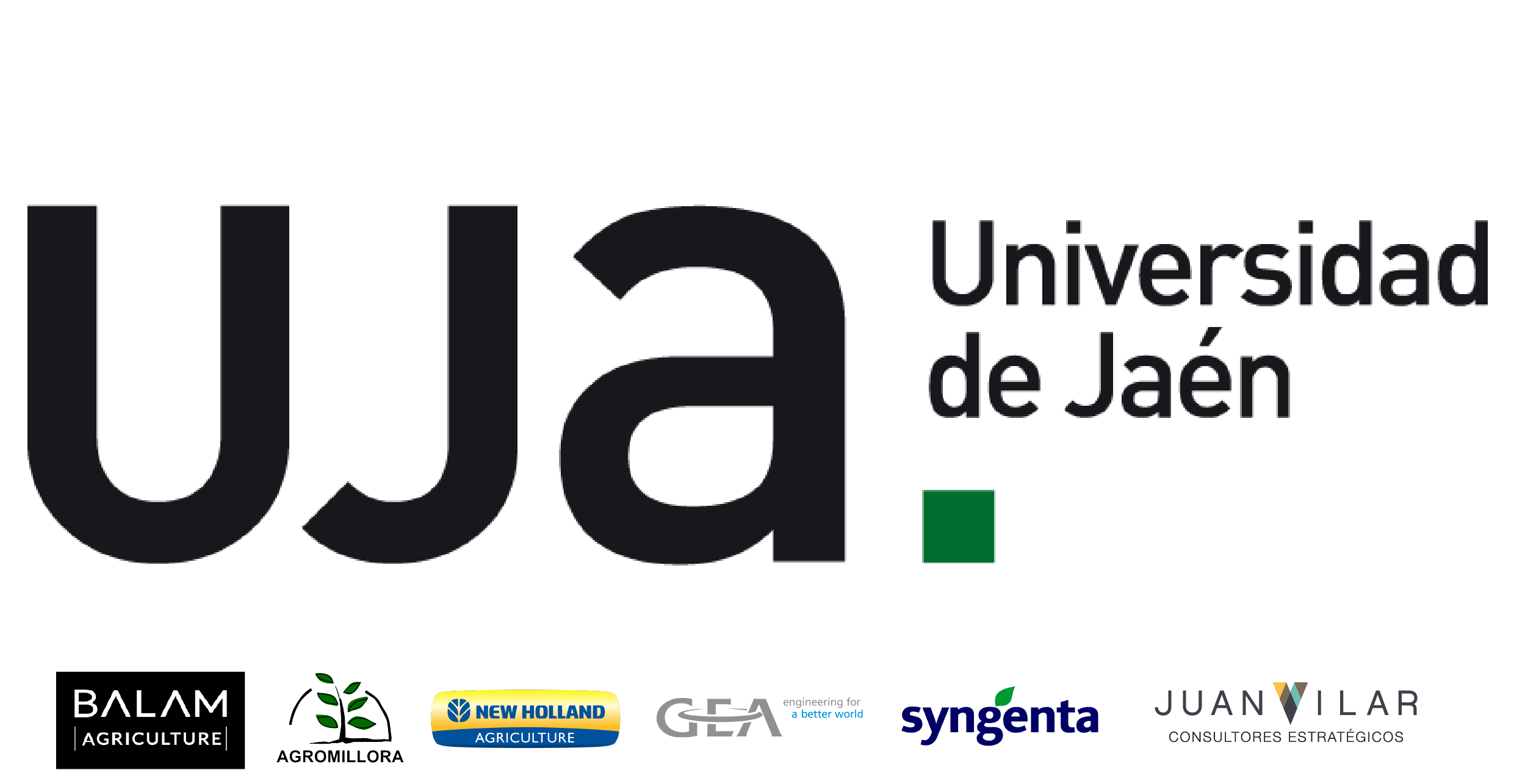 Master UJA logo - JUAN VILAR CONSULTORES ESTRATEGICOS