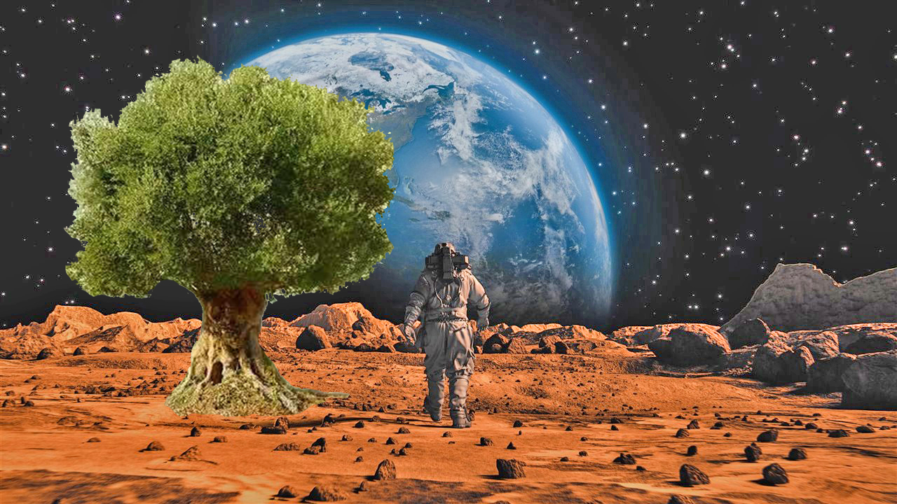 THE OLIVE TREE IS STARTING TO OUTGROW THE PLANET - JUAN VILAR ...